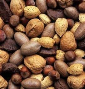 The Cause And Cure For All Disease